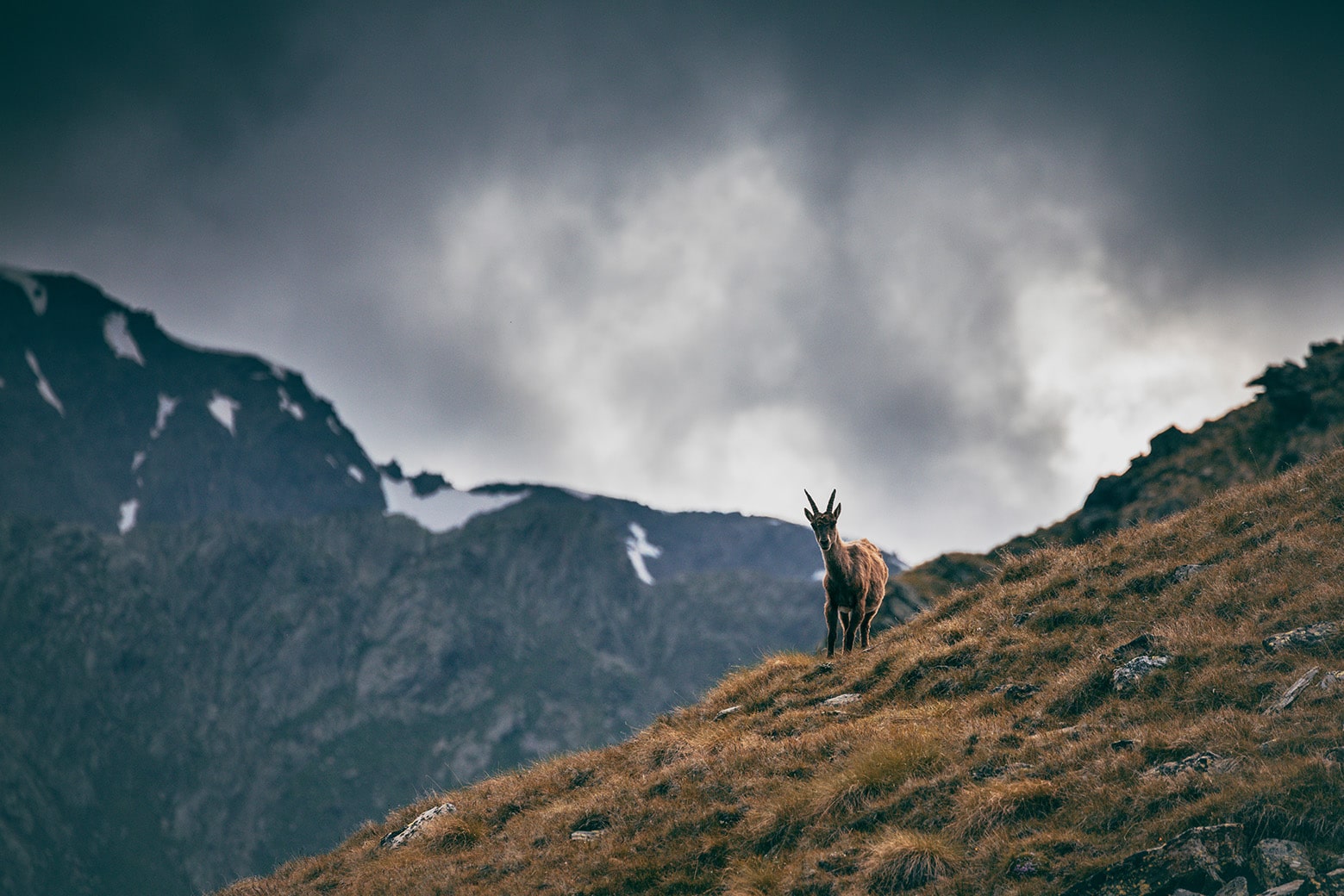 Bac Pro Gestion des Milieux Naturels et de la Faune - GMNF - ISETA-ECA