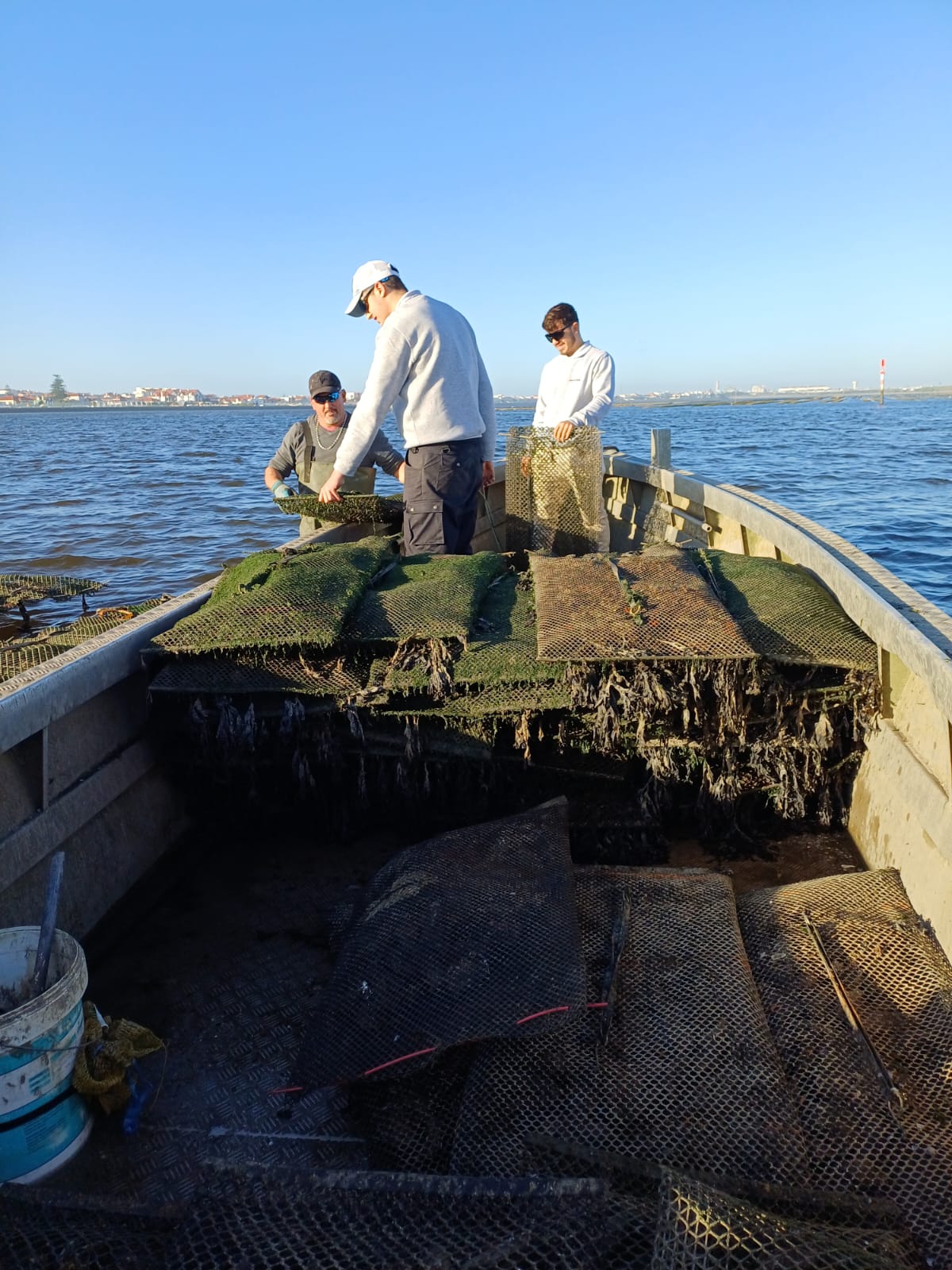 Une mobilité ERASMUS+ enrichissante pour les Terminales Aquaculture de ...